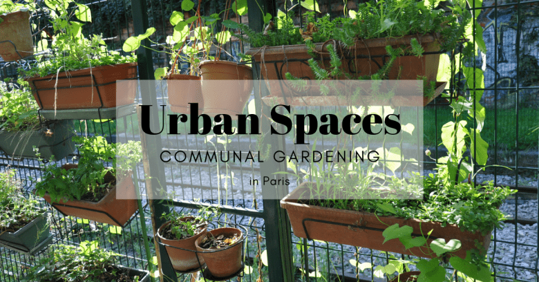 Eco-Friendly Paris - Communal Gardening in Paris