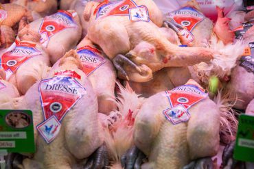 Don't call me a chicken! Knowing your French Poulets - Cook'n With ...